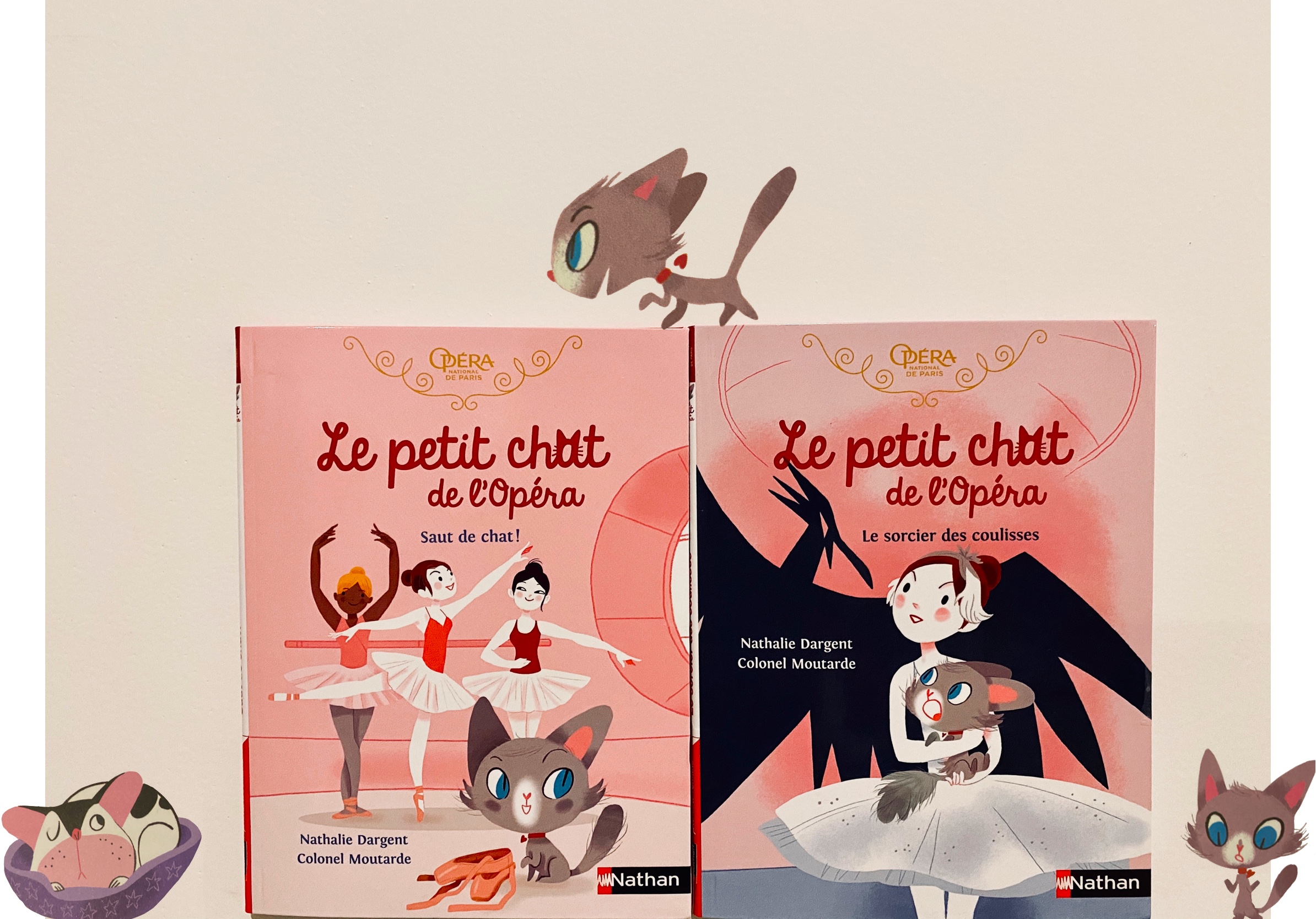 Petit Chat De Nad Meteor